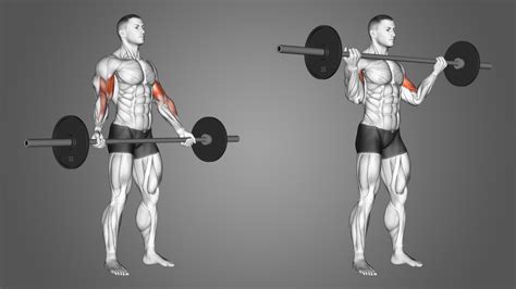 Close Grip Bicep Curl