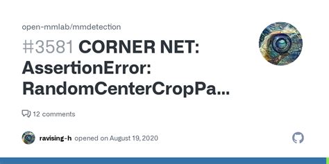 Corner Net Assertionerror Randomcentercroppad Needs The Input Image