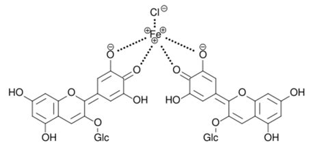 The Iron Complex High Level Wellness