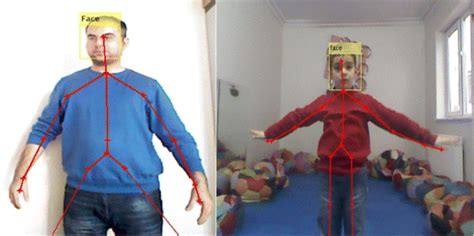 Acquisition And Feature Extraction Of The Sensory Stimuli In The Download Scientific Diagram