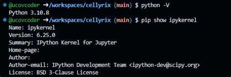 Kernel Picker In Vscode For Web On Codespaces Is Empty Shows Only Existing Jupyter Server