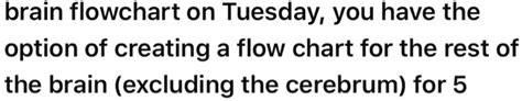 solved brain flowchart on tuesday you have the option of creating a