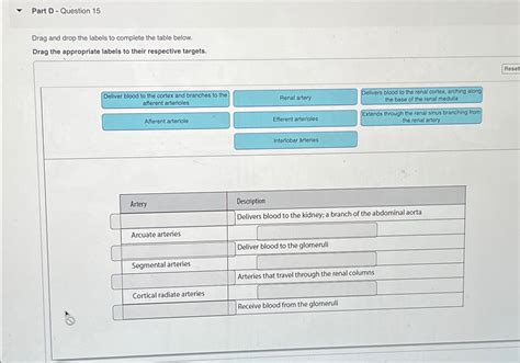 Solved Part D Question 15Drag And Drop The Labels To Chegg Com