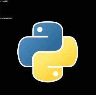 英语单词python怎么读什么意思