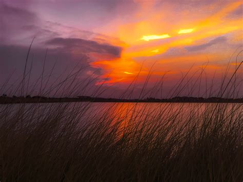 무료 이미지 배경 바닷가 아름다운 명확한 구름 연안 새벽 저녁 황금의 수평선 경치 자연 대양 주황색 집 밖의 위에 반사 바다 여름 태양
