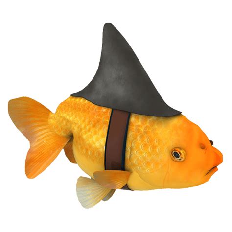 Obfuscate Definition Meaning And Synonyms