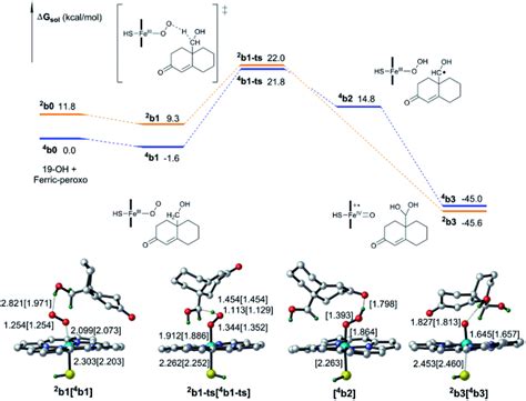 Dft Calculated Energy Diagram For The Oxidation Of 19 Oh Androgen By Dft Calculated Energy Diagram For The Oxidation Of 19 Oh Androgen By