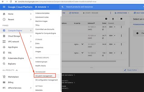 How To Use The Gcps Vm Manager To Manage Patch Devtutorial