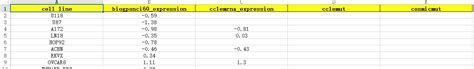 Xlsxwriter Column Width