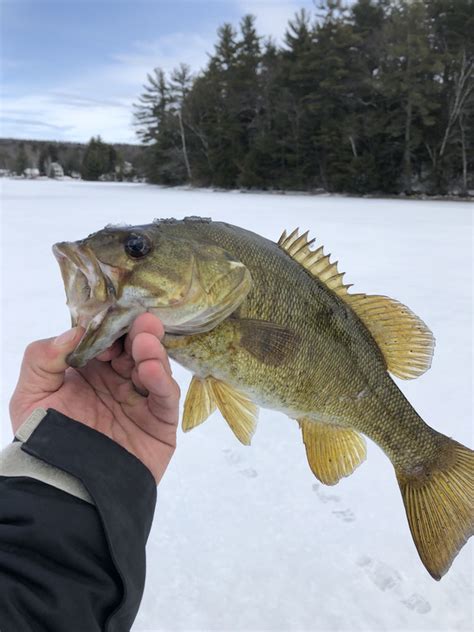 528 A8 Ef9 D69 E 4 A0 C Aeec 6 De621 B30 E63 — Postimages