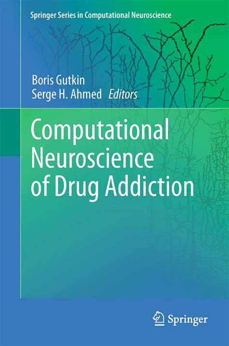Computational Neuroscience Of Drug Addiction Ebook By Epub Rakuten Kobo United States