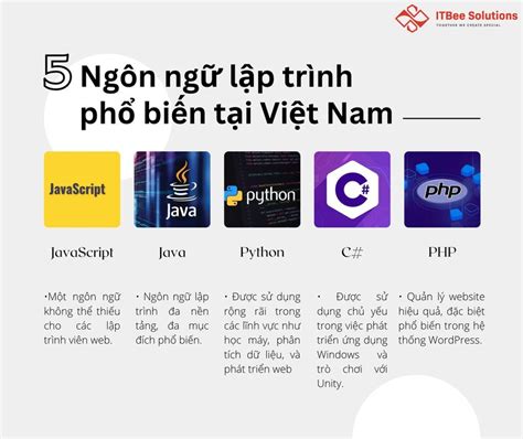 Itbee Solutions On Linkedin Itbeesolutions Programminglanguages Codinginvietnam Wearehiring