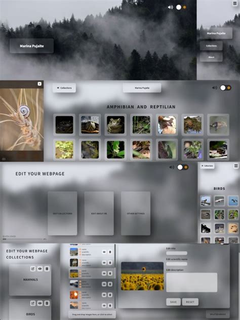 David Pujalte Pérez On Linkedin Reactjs Frontend Firebase Portfolio Photography