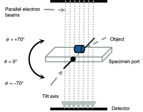 Data Collection Geometry In 3d Reconstruction By Tem Download