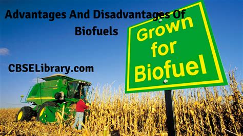 Biofuels Advantages And Disadvantages What Are Biofuels Definition