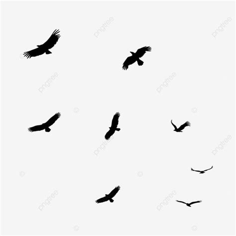 흰색 배경에 비행 새 새가 날다 새 실루엣 함께 날아다니는 새들 Png 일러스트 및 Psd 이미지 무료 다운로드 Pngtree