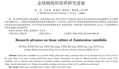 Research Advances On Tissue Culture Of Zamioculcas Zamiifolia کتابخانه الکترونیکی دیتا ساینس