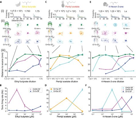 depolarization block maintains sparse odor encoding by tiling the