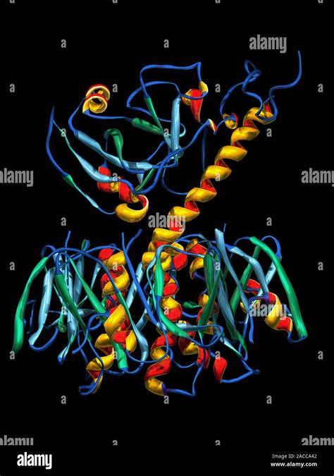 Cholera Toxin Molecular Model Of The Secondary Structure Of Cholera