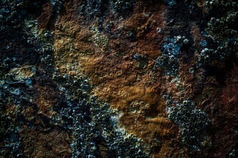 How Rust Complements Python For Developers Towards Data Science Posted On The Topic Linkedin