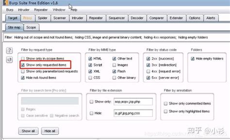 Burpsuite入门及详细使用教程 知乎