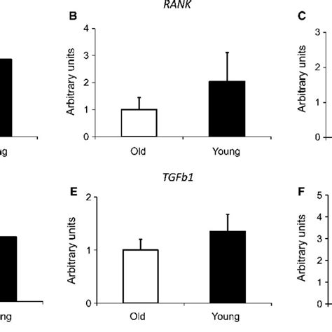 Quantitative Rt Pcr Analysis Of Osteogenesis Related Genes In Human