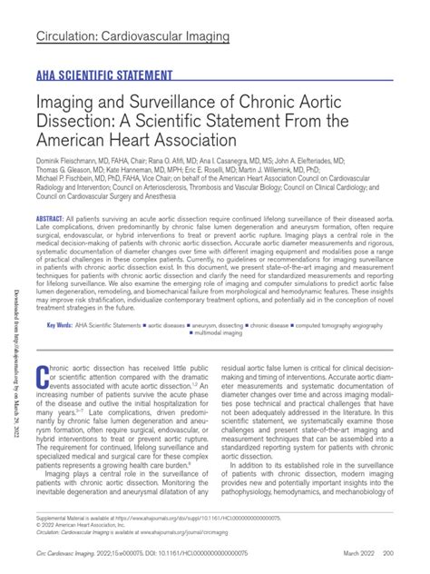 Chronic Aortic Dissection Pdf Interventional Radiology Aorta
