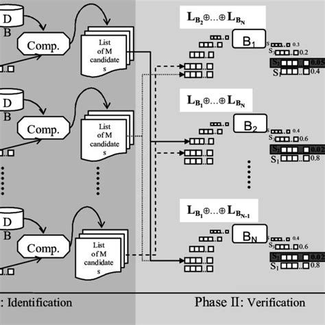 Graphical Representation Of The Cross Testing Protocol Download