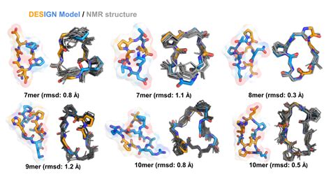 Publications — Bhardwaj Lab