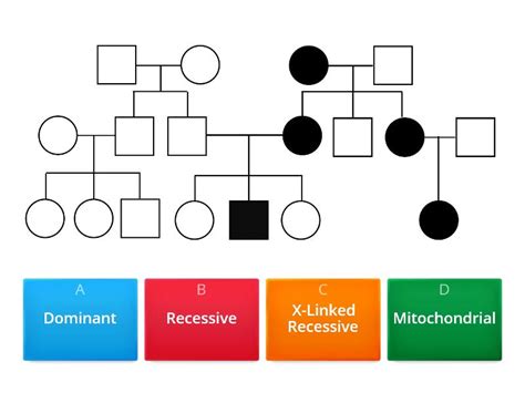 interpret inheritance patterns quiz