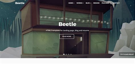 beetle html5 bootstrap template bootstrap themes