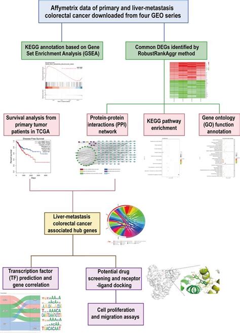 Identification Of Hub Genes Related To Liver Metastasis Of Colorectal Cancer By Integrative Analysis