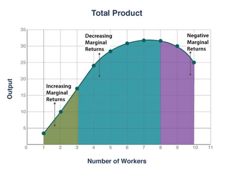 Ap Micro 301 The Production Function Flashcards Quizlet