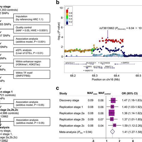A Candidate Enhancer Variant Rs73613962 Is Screened And Validated To Be