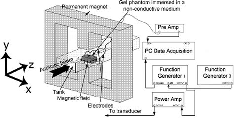 Figure 2 From Difference Frequency Magneto Acousto Electrical Tomography Df Maet Application