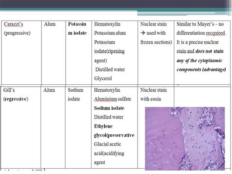 Hematoxylin And Eosin Staining Pptx