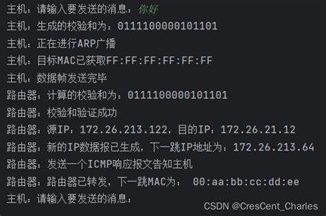 Python实现一个简单的主机 路由器结构（计算机网络）python 代码 路由器 Csdn博客