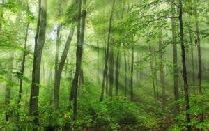 A Gentle Introduction To Padding And Stride For Convolutional Neural Networks