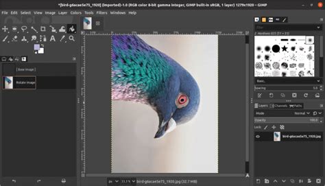 How To Rotate Transform An Image In GIMP Complete Guide Edits