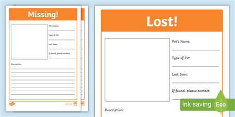 Missing Person Poster Template Ks2