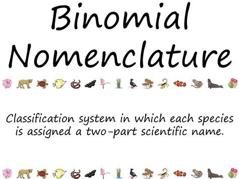 Taxonomy Word Wall Vocabulary Cards Teaching Resources