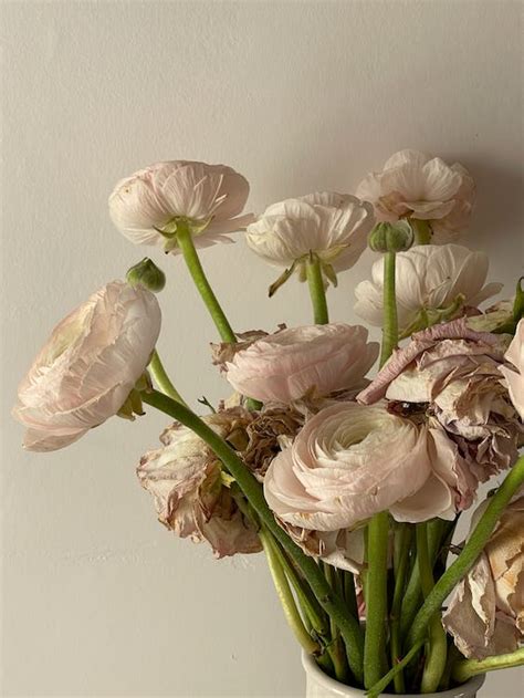 계절 꽃 꽃가루 재배자 꽃꽂이 꽃무늬 꽃을 자르다 꽃이 피는 꽃잎 낭만적인 라눈큐 루스 배열 봄 부드러운 부드러운 색조 부식 부케 섬세한 쇠퇴