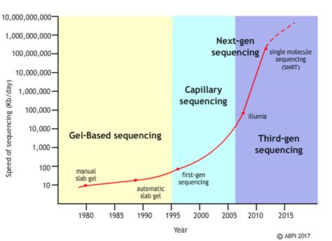 Progress In DNA Sequencing