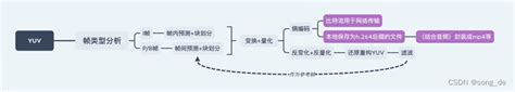 什么是video codec video codec在实际业务的应用。 csdn博客