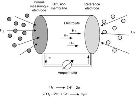 Electrochemical Sensors Principles Types Applications And Future Trends Sensor One Stop