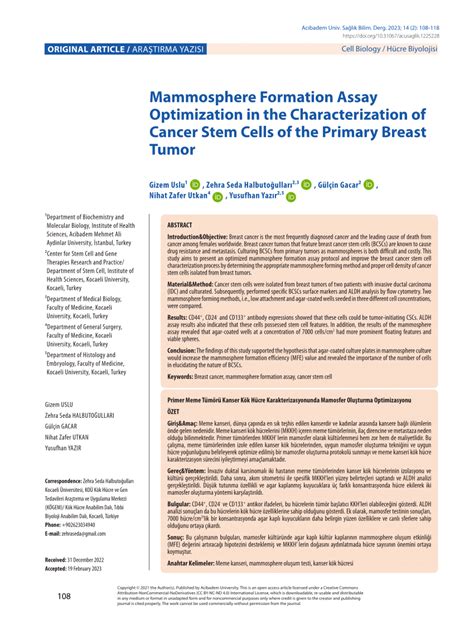 Pdf Mammosphere Formation Assay Optimization In The Characterization