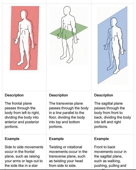 electrical stimulation its role in upper limb recovery post stroke