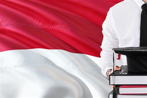 성공적인 Monegasque 학생 교육 개념입니다 모나코 국기 배경 위에 책과 졸업 모자를 들고 교사 교육 관련 직업에 대한 스톡 사진 및 기타 이미지 Istock