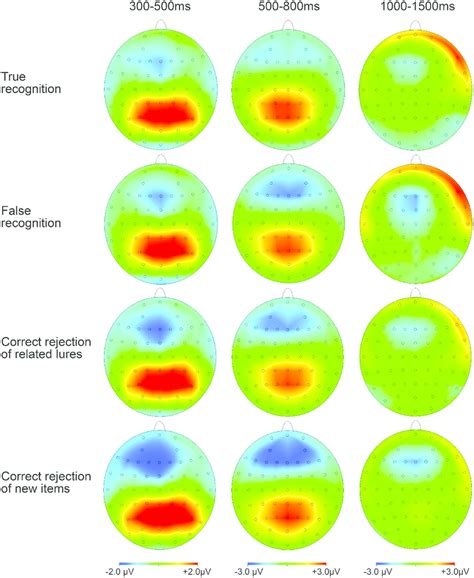 Scalp Topography Distributions In The Three Time Windows Analysed Download Scientific Diagram