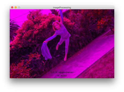 processing library examples processinglibraryexamples
